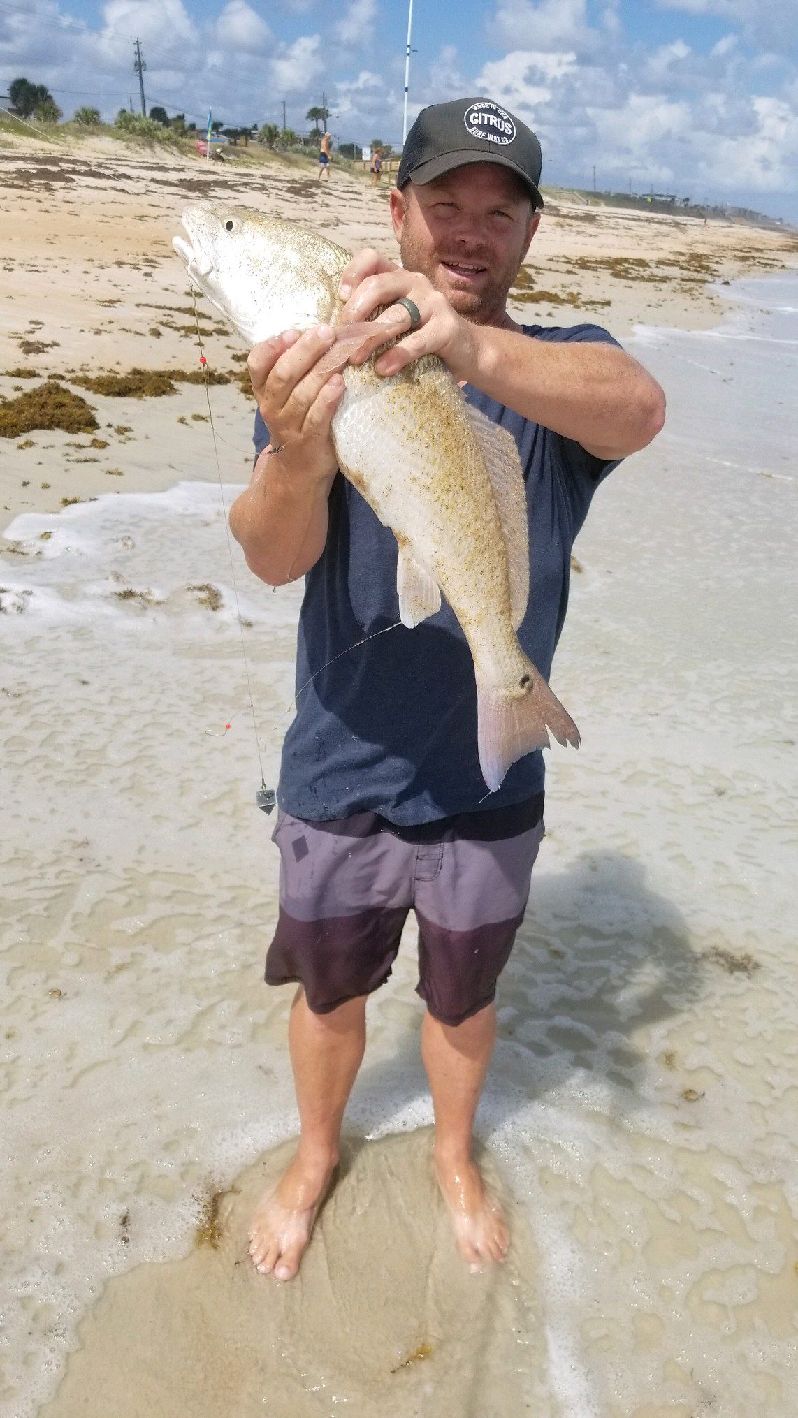 Aaron Sherman of Citrus Surf Shop/ Bait n Tackle caught this in front ...